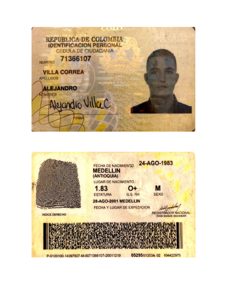 Cedula Alejandro Villa 150 (Completa) | PDF