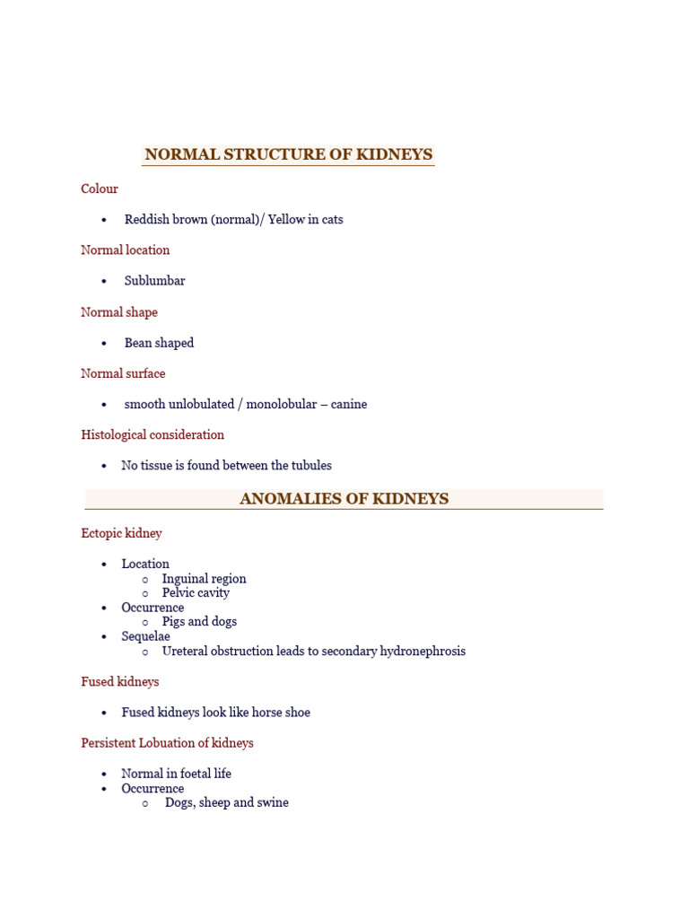 Urinary System Pathology Overview | PDF | Kidney | Animal Anatomy