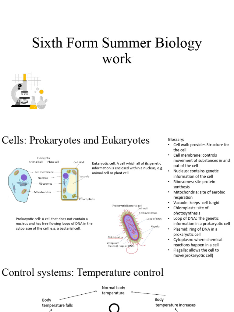 Introduction To Biology Powerpoint With Biology Key Words and ...