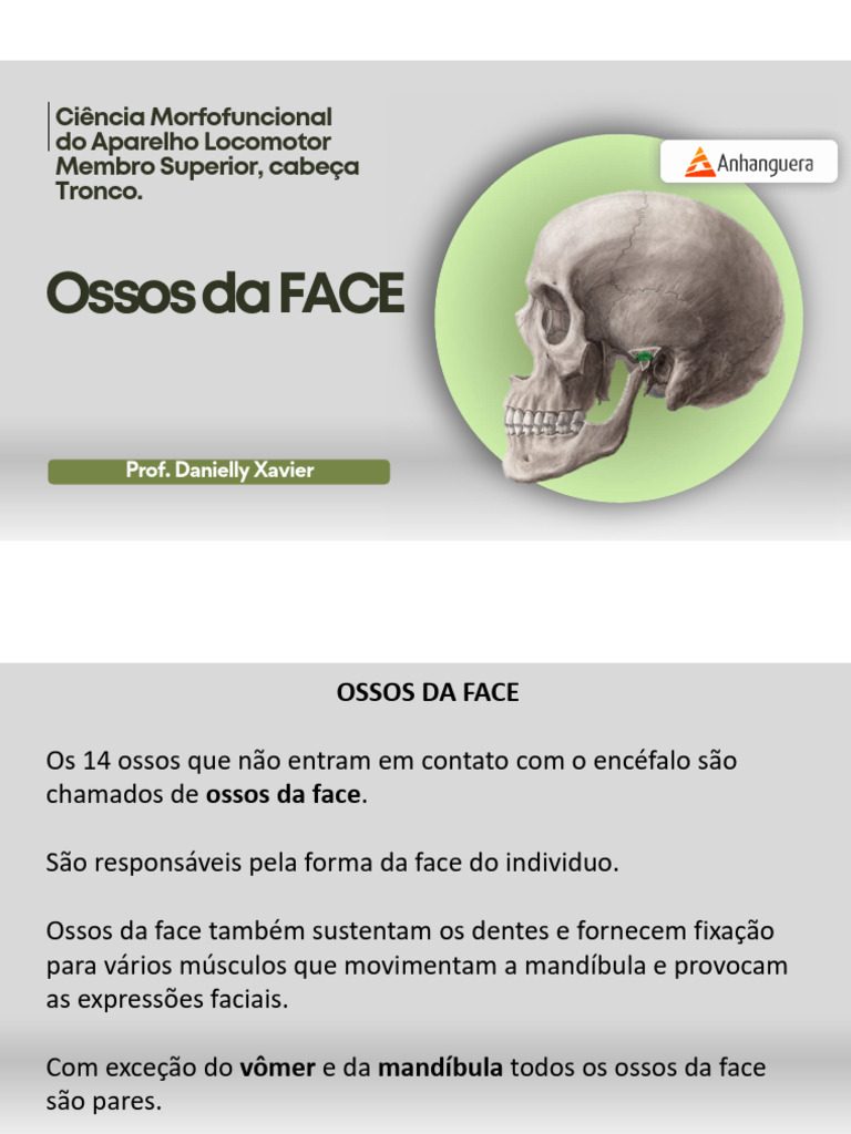 Ossos Da Face Aula | PDF