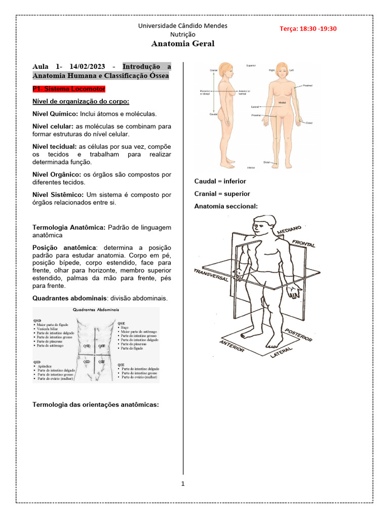 Anatomia Geral | PDF