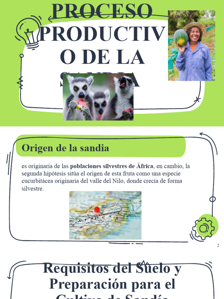 Curio SlidesCarnival | PDF