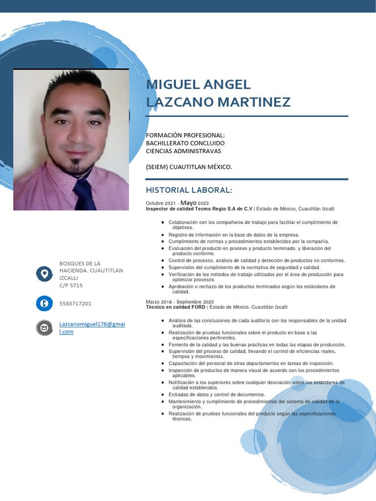 CV Miguel | PDF | Auditoría | México
