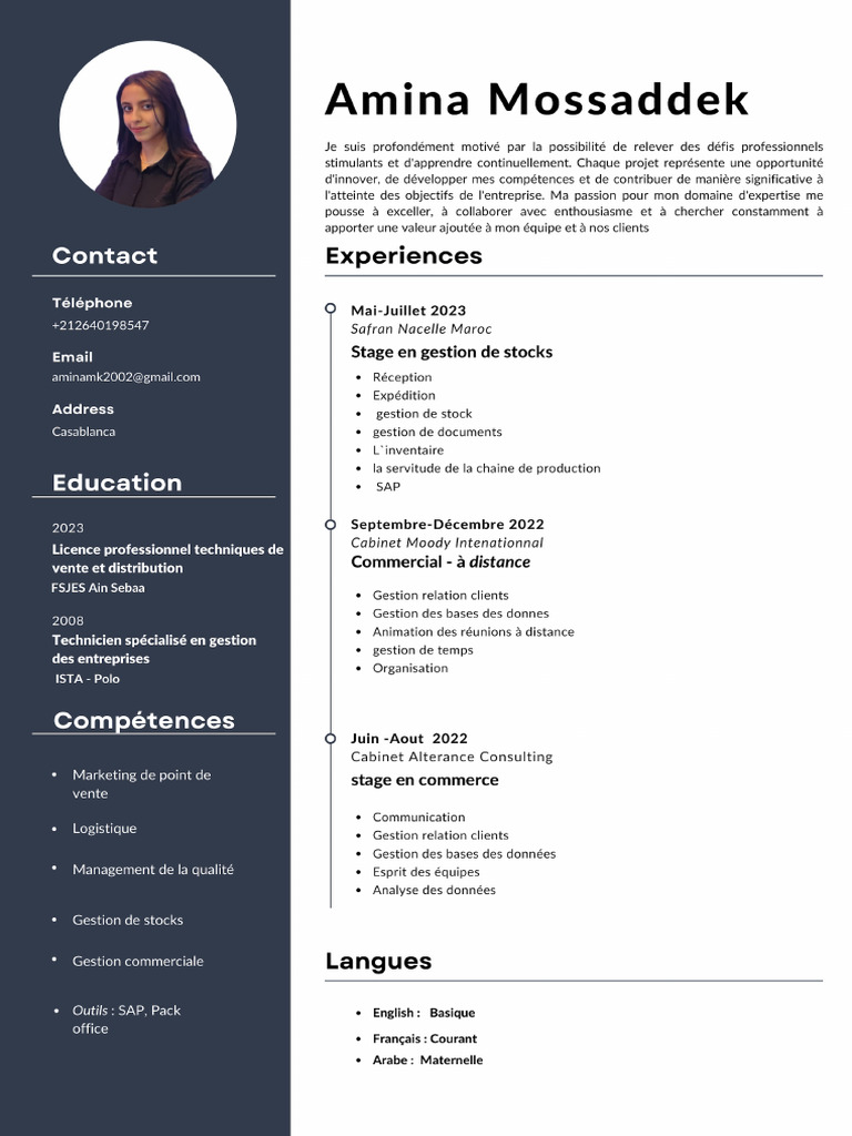 Amina CV 3 | PDF