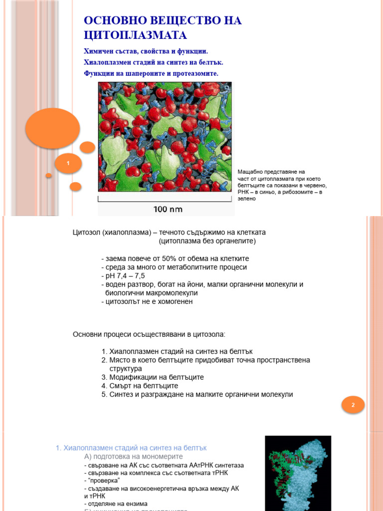 Cytosol | PDF