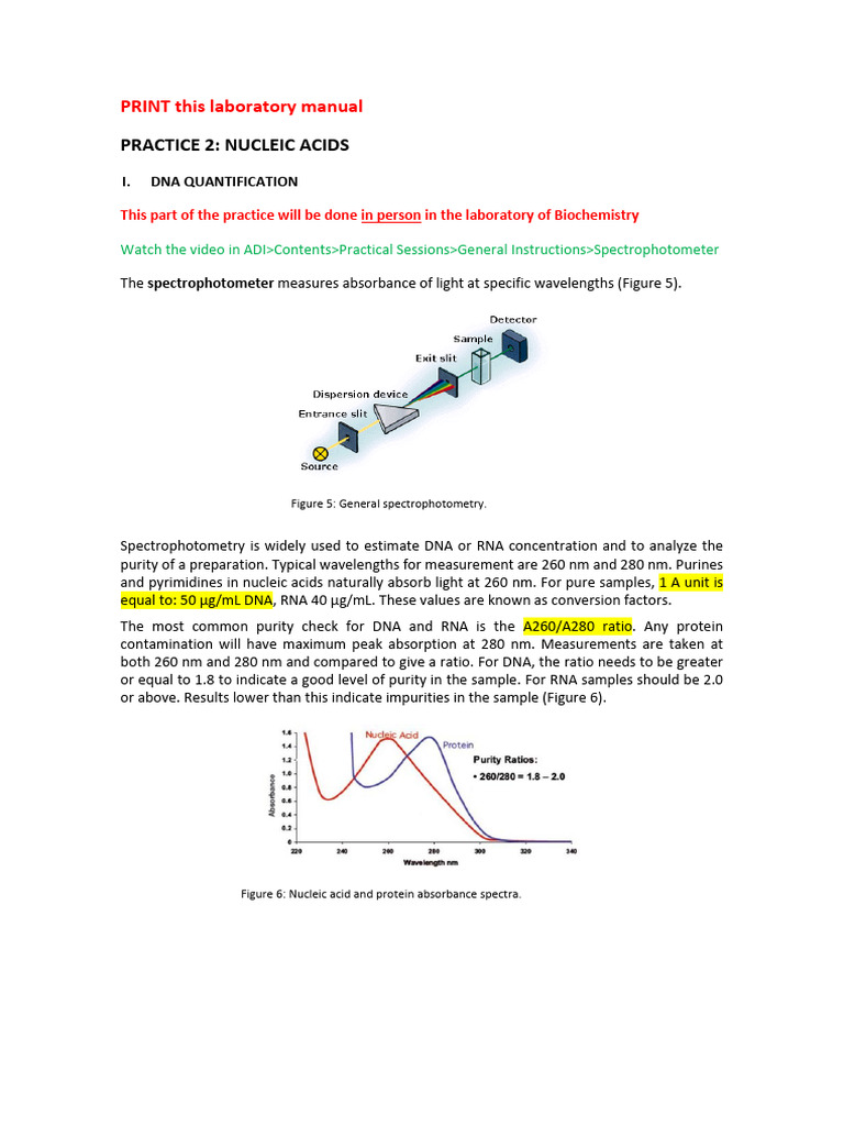 2 Nucleic Acids Quantification | PDF