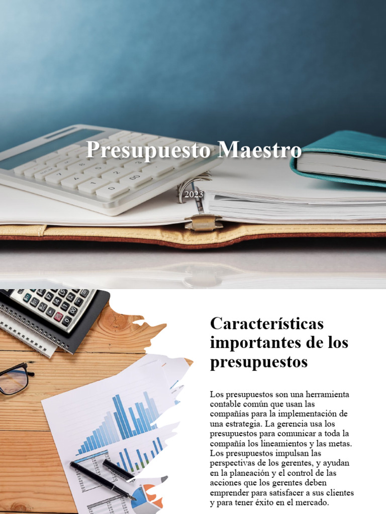 Presupuesto Maestro | PDF | Presupuesto | Economias