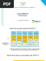 Cuadernillo Respuestas 2 Wisc V | PDF