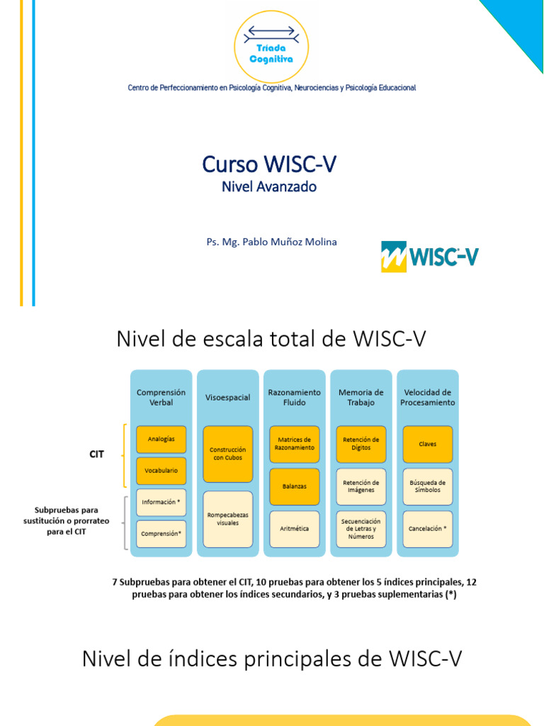 WISC-V. Nivel Avanzado | PDF | Memoria | Memoria de trabajo