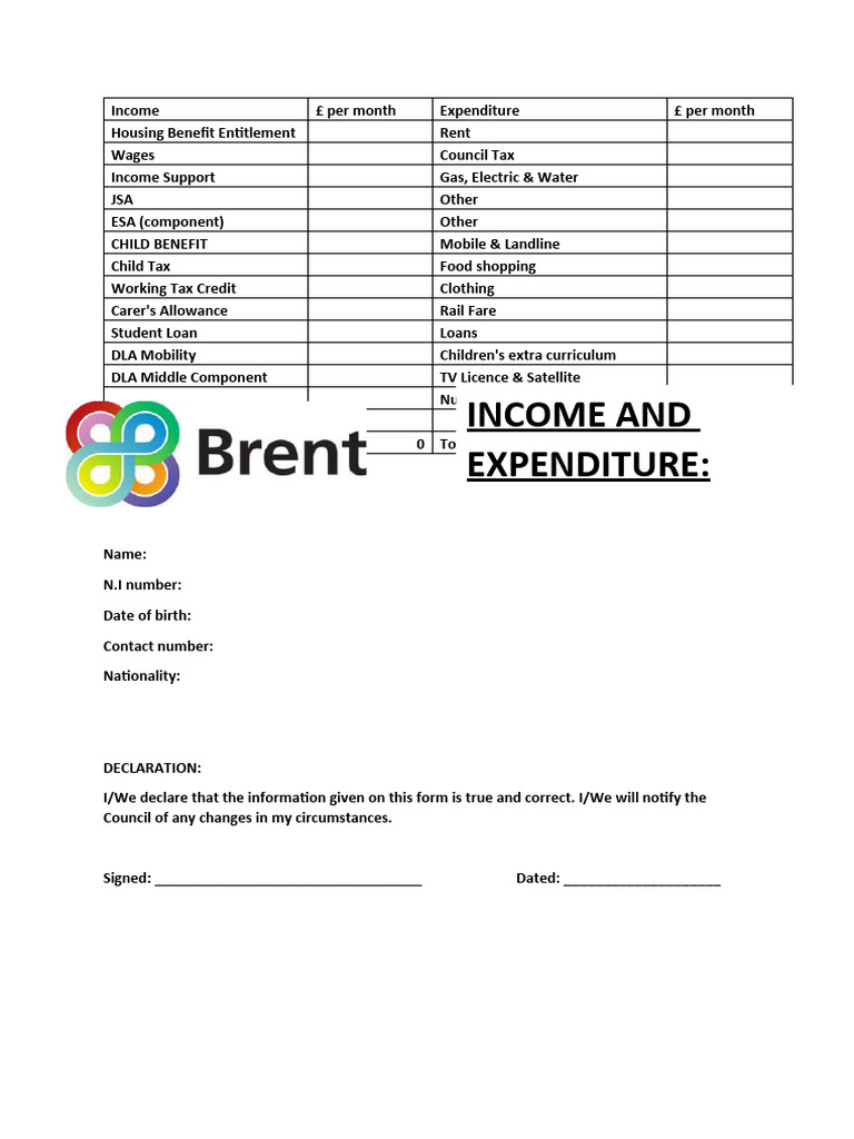 Income and Expenditure Form Template | PDF | Finance & Money Management ...