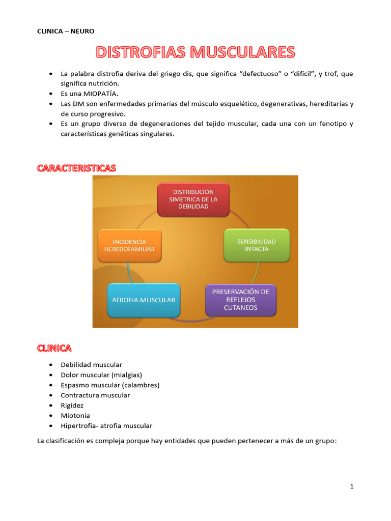 Distrofias Musculares: Tipos y Síntomas | PDF | Especialidades Medicas ...