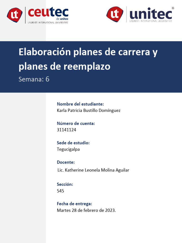 Annotated-Elaboración Planes de Carrera y Planes de Reemplazo | PDF ...