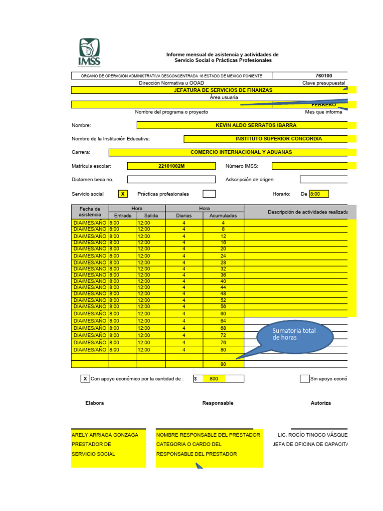 Ejemplo Informe Mensual Ss 2024 | PDF