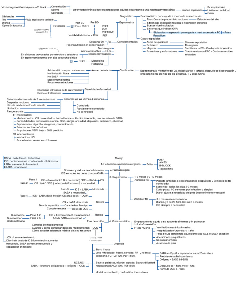 Mapa Asma | Descargar gratis PDF | Asma | Tos