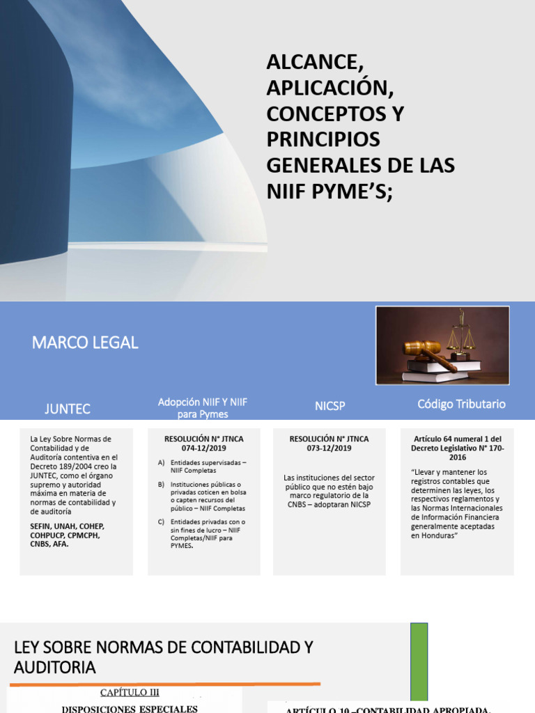Alcance, Aplicación, Conceptos y Principios Generales de Las Niif Pyme ...