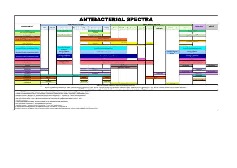 Antibiotic Spectrum HK | PDF | Beta Lactamase | Methicillin Resistant ...