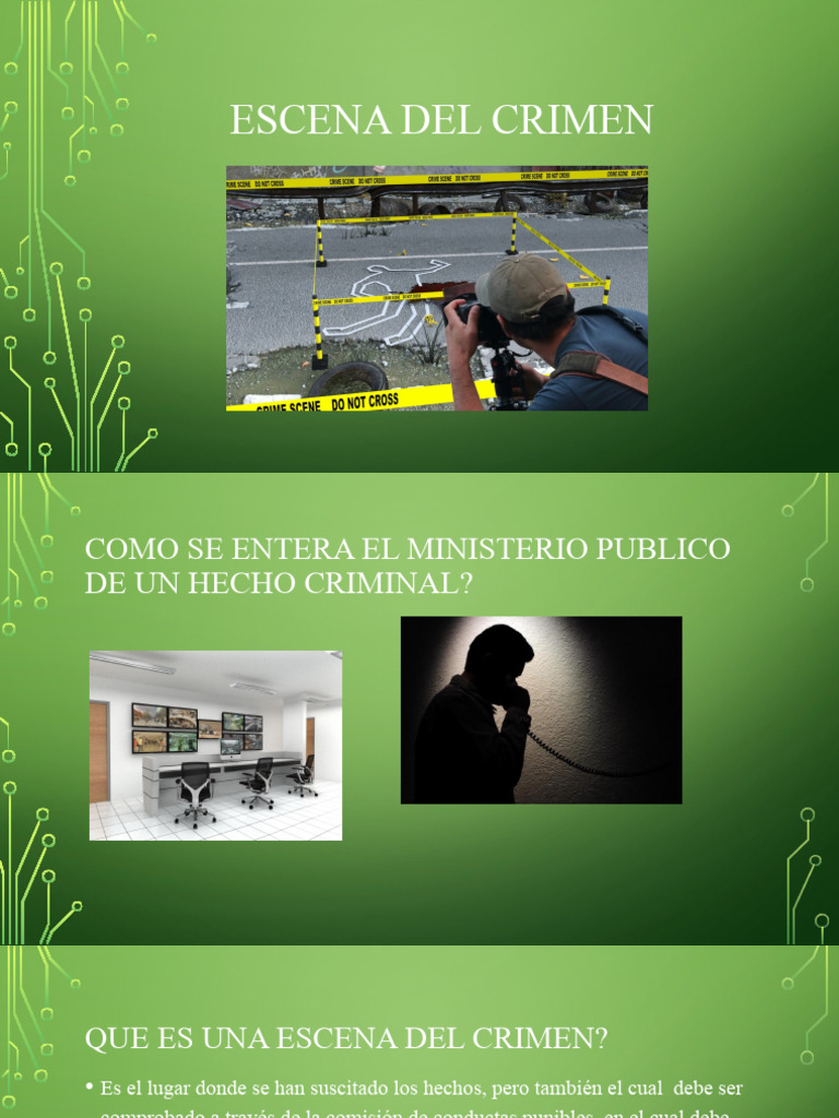Escena Del Crimen | PDF