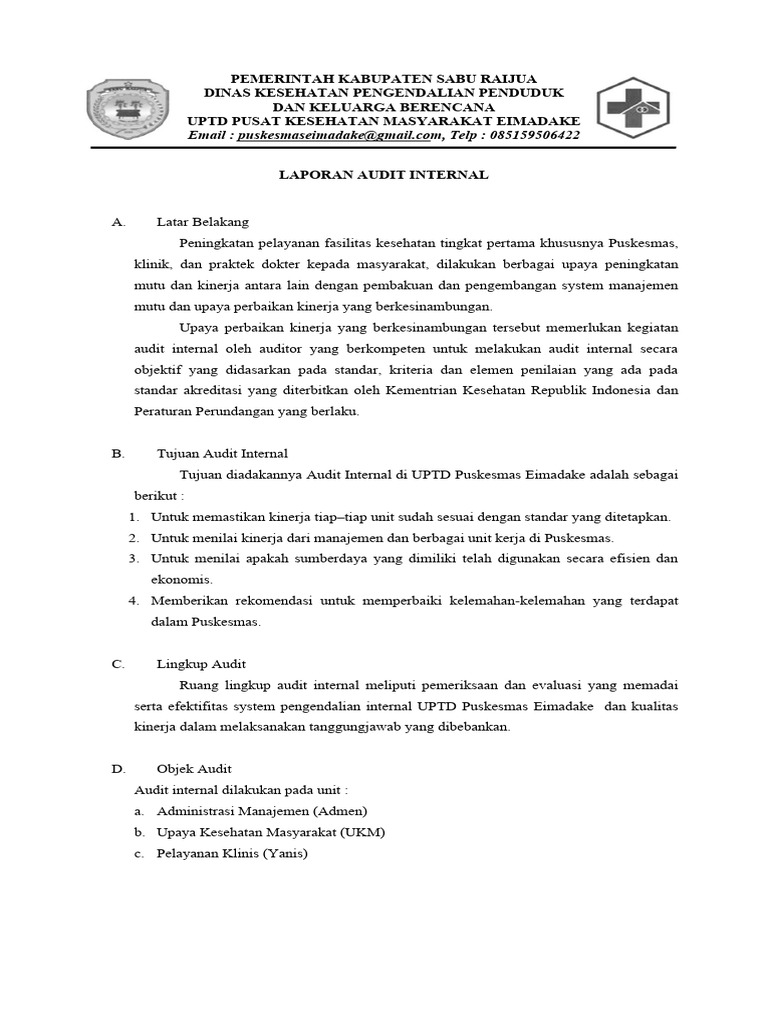 1633 Laporan Hasil Audit Internal | PDF