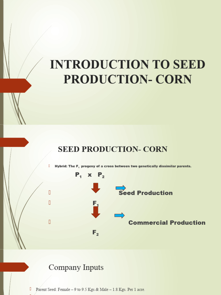 Introduction To Seed Production - Corn | PDF | Technology & Engineering ...