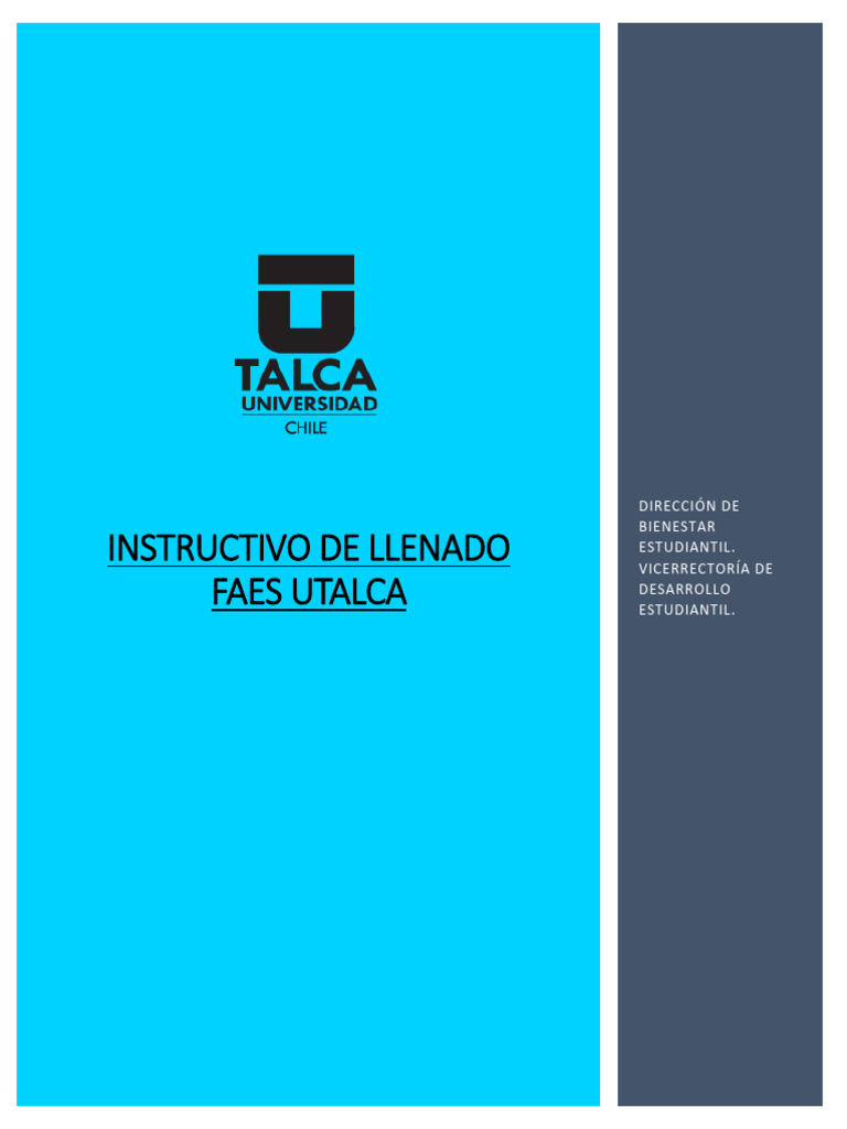 Instructivo de Llenado | PDF