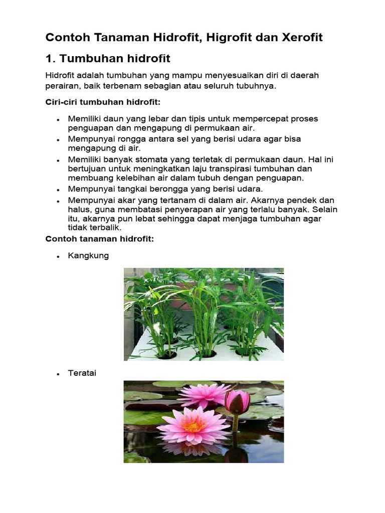 Contoh Tumbuhan Hidrofit dan Higrofit | PDF