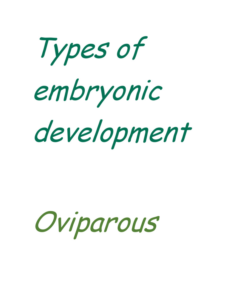 Types of Embryonic Development | PDF | Egg | Embryo