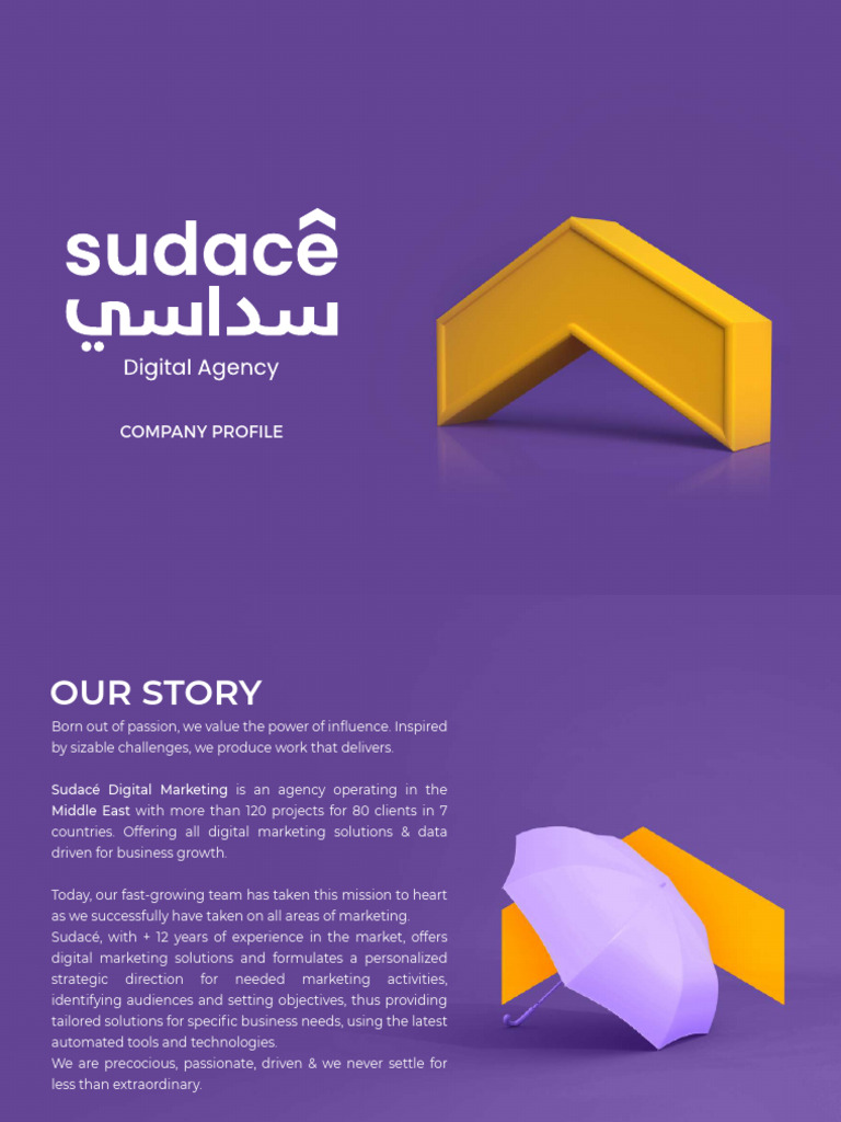 Sudace Company Profile | PDF | Search Engine Optimization | Marketing