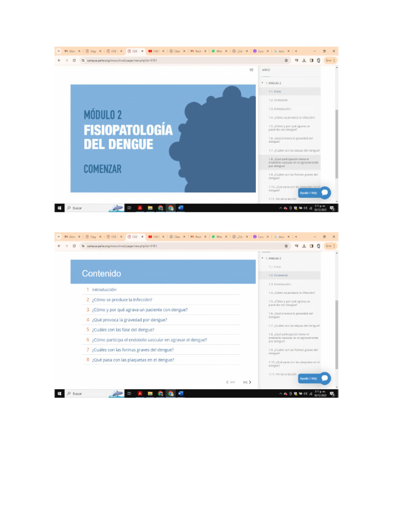 Modulo 2 Fisitopatologia Dengue Ops | PDF