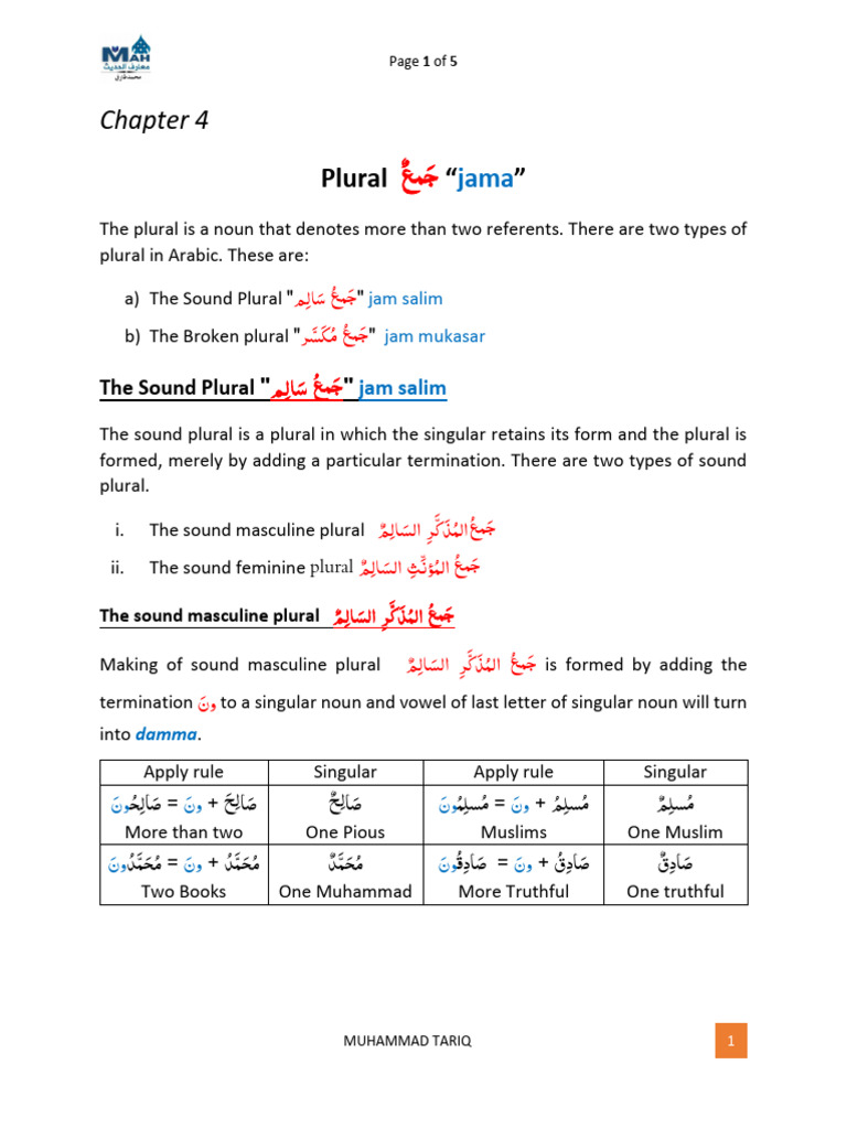 Lecture - 03 Plural | PDF | Grammatical Gender | Plural