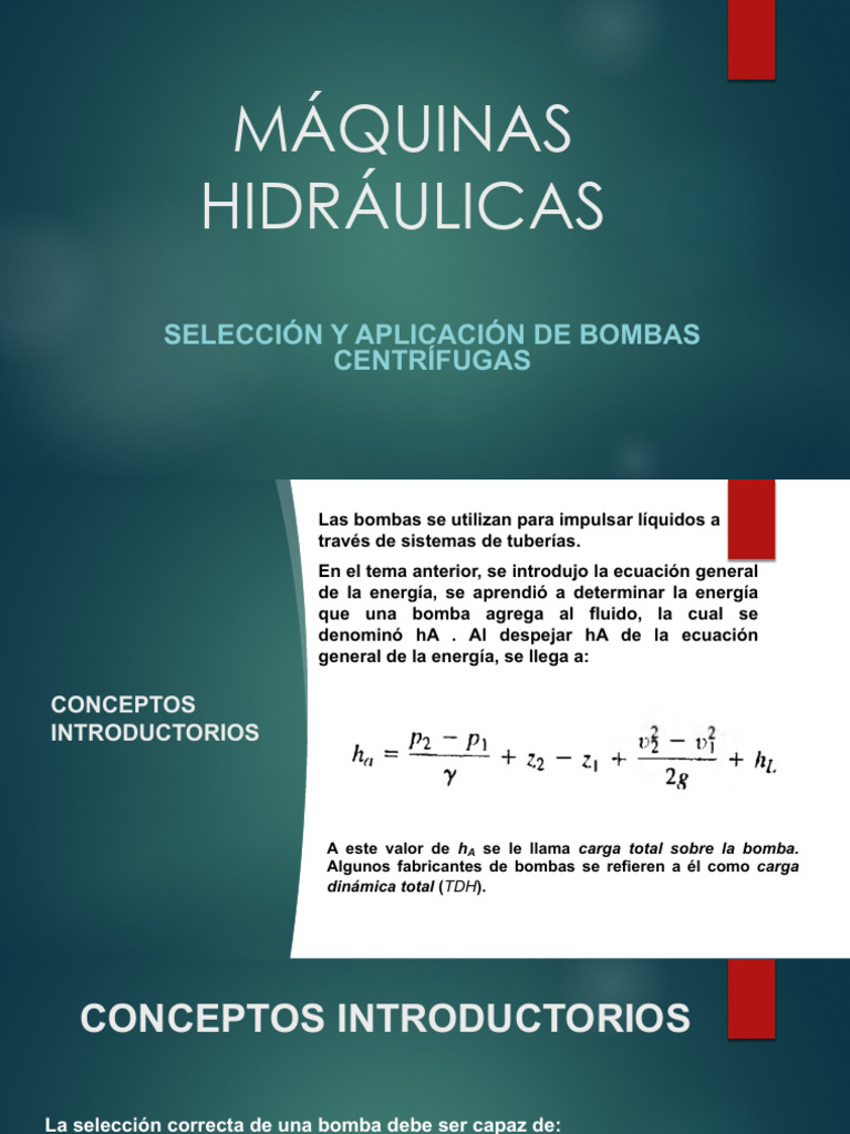 Seleccion de Bombas | PDF | Bomba | Física Aplicada e Interdisciplinaria