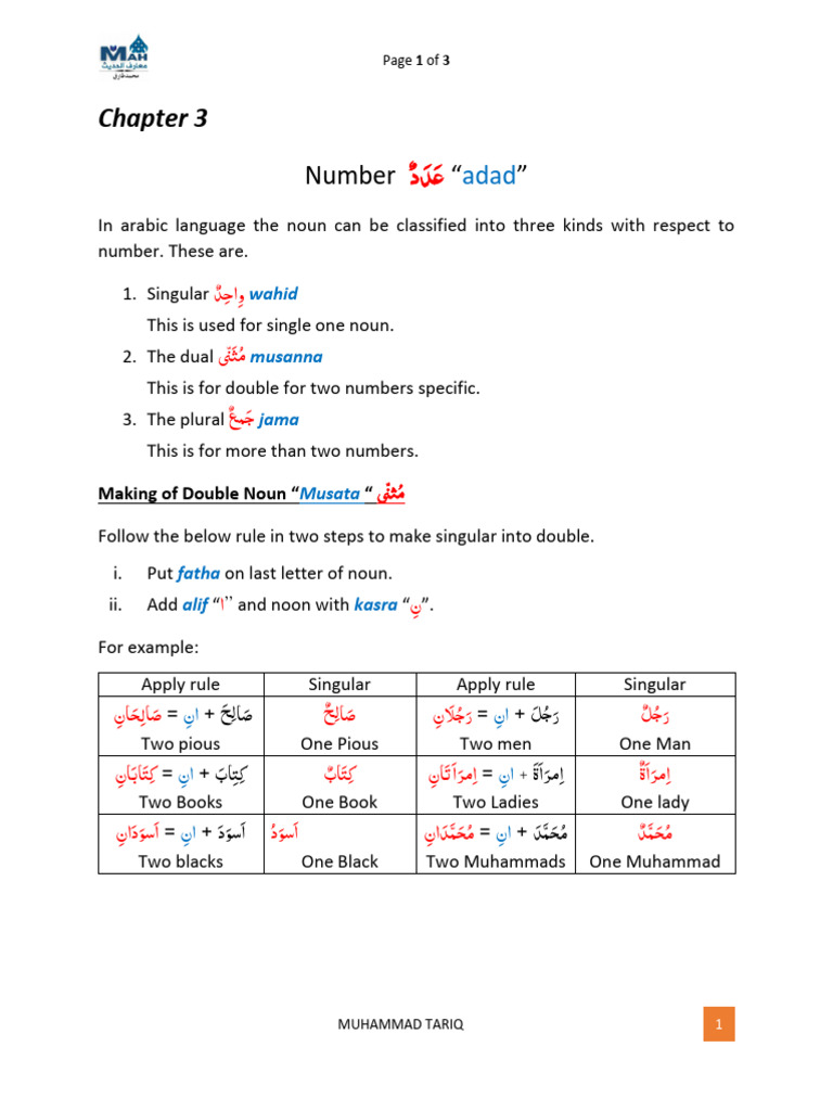 Arabic Noun Classification: Singular, Dual, Plural | PDF