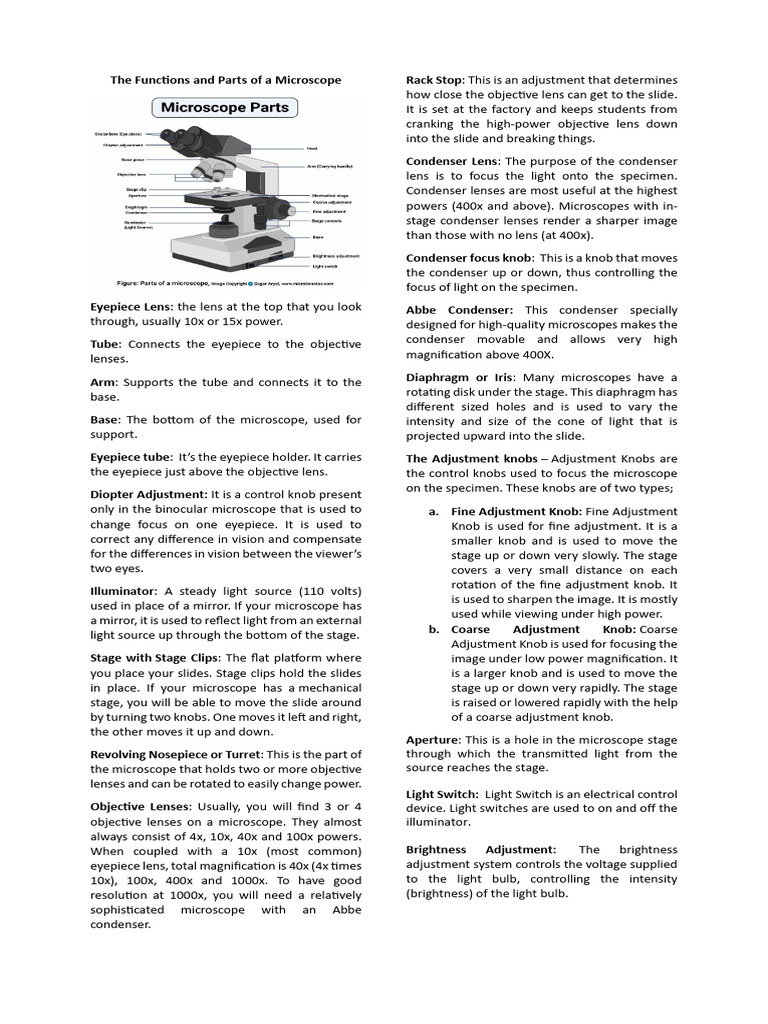 The Functions and Parts of A Microscope | PDF | Glass Applications | Atomic
