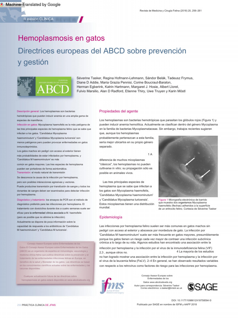 Tasker Et Al 2018 Haemoplasmosis in Cats European Guidelines From The ...