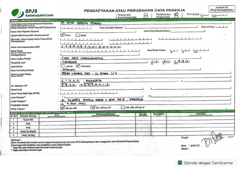 Contoh Pengisian Pendaftaran Bpjs | PDF