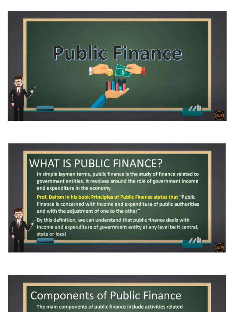 Introduction To Public Finance | PDF