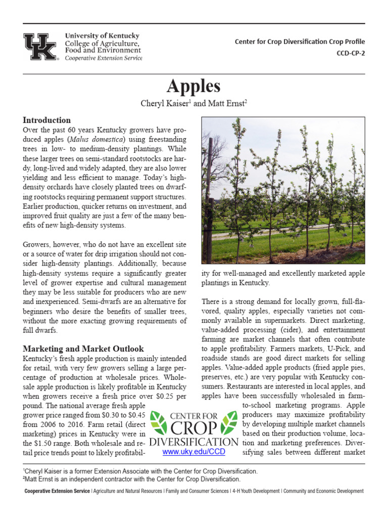 Apples | PDF | Apple | Plants