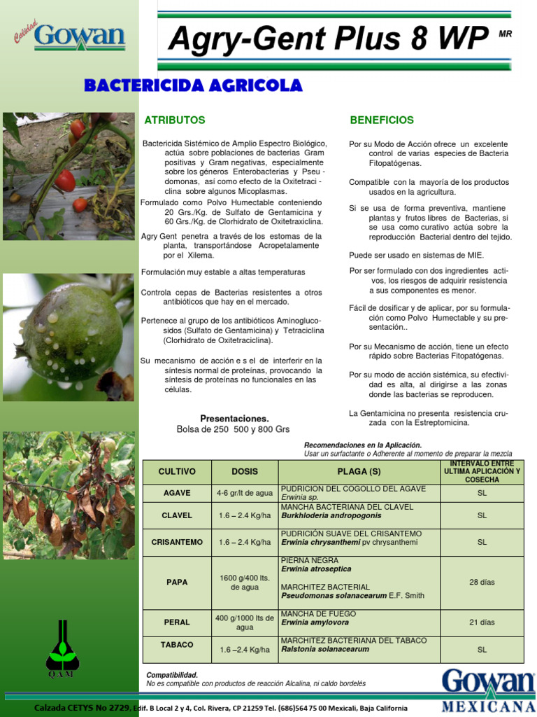 Ficha Tecnica Agrygent Plus 8 WP | PDF | Las bacterias | Biología