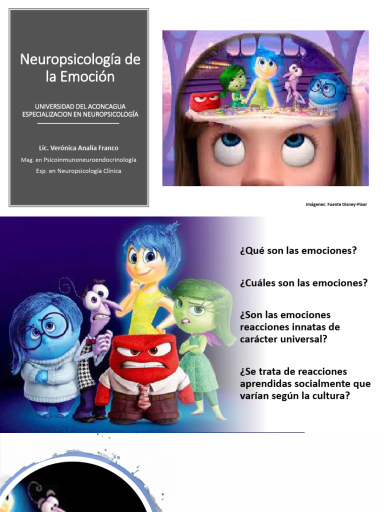 Neuropsicología De Las Emociones Pdf Las Emociones Sistema Límbico