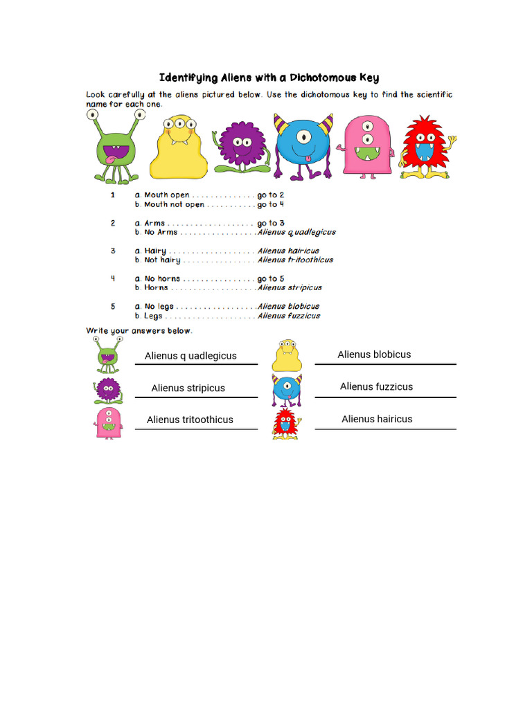Worksheet Dichotomous Keys | PDF