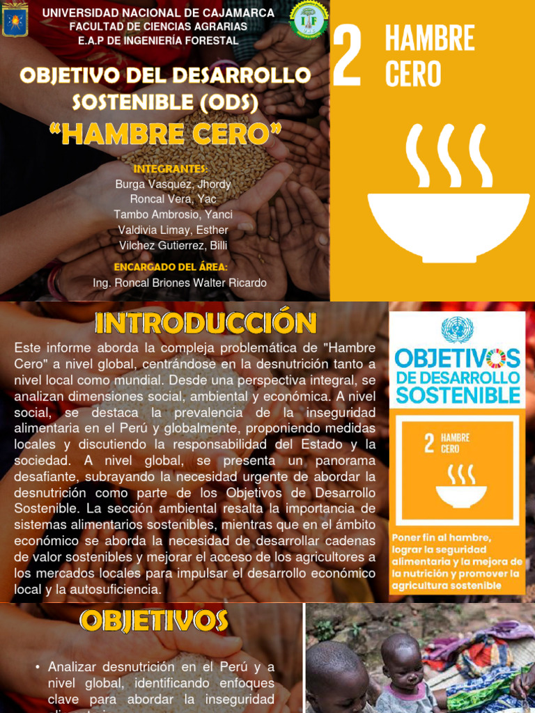 Ods - Hambre Cero t4 | PDF | Agricultura | Alimentos
