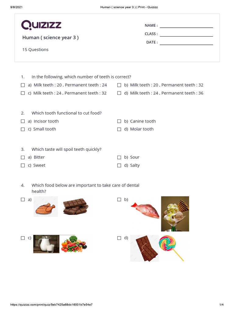 Human (Science Year 3) - Print - Quizizz | PDF | Tooth | Tooth Enamel