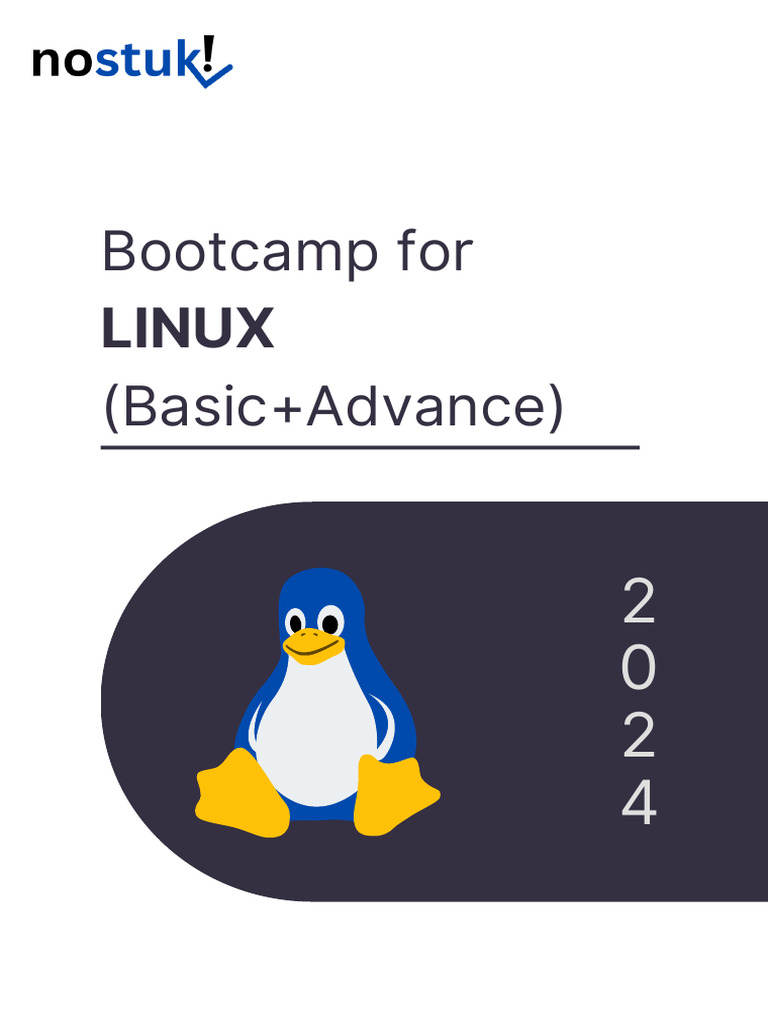 Bootcamp | PDF | Computer File | Software