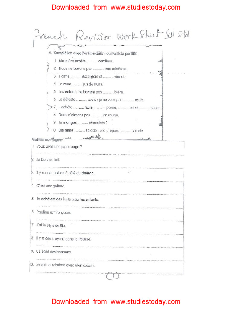 CBSE Class 7 French Practice Worksheets | PDF