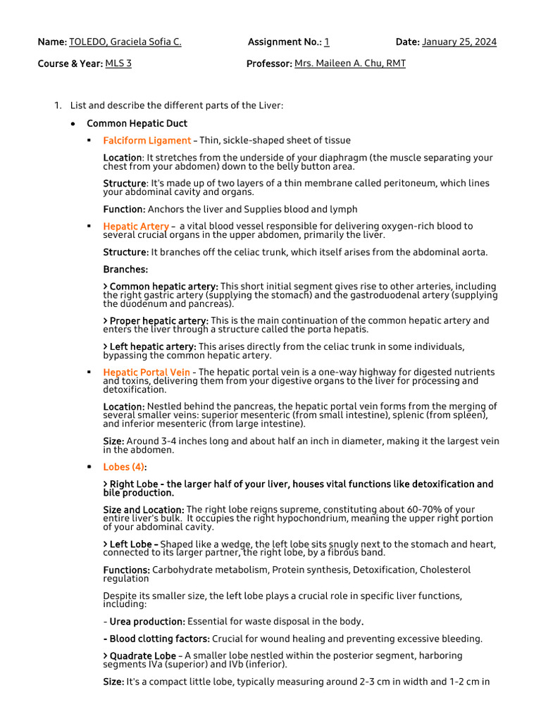 CC Homework Final | PDF | Liver | Hepatocyte