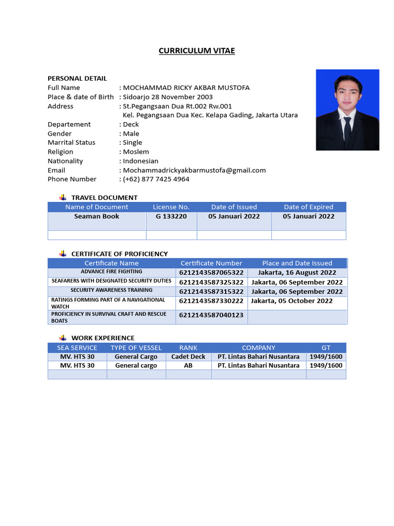 Curriculum Vitae Ricky N | PDF