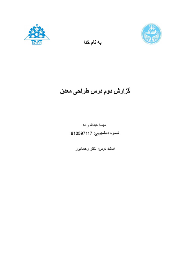 NPV P Mahsa Abdolahzade | PDF