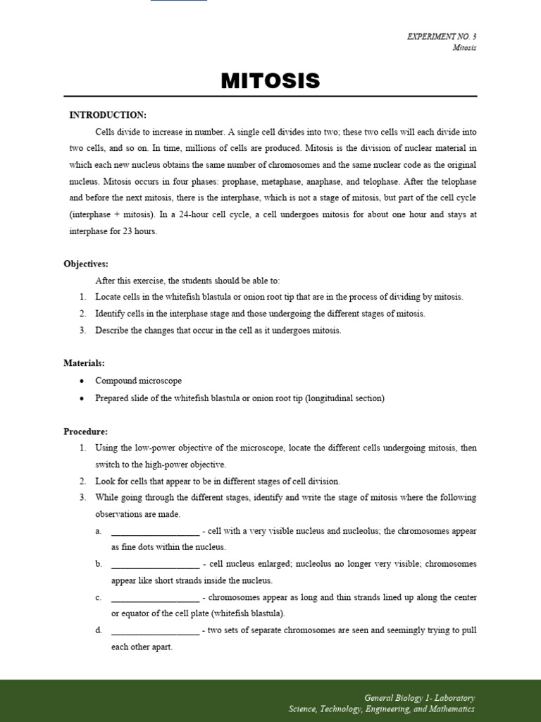 Experiment 3 - Mitosis | PDF | Mitosis | Cell Biology