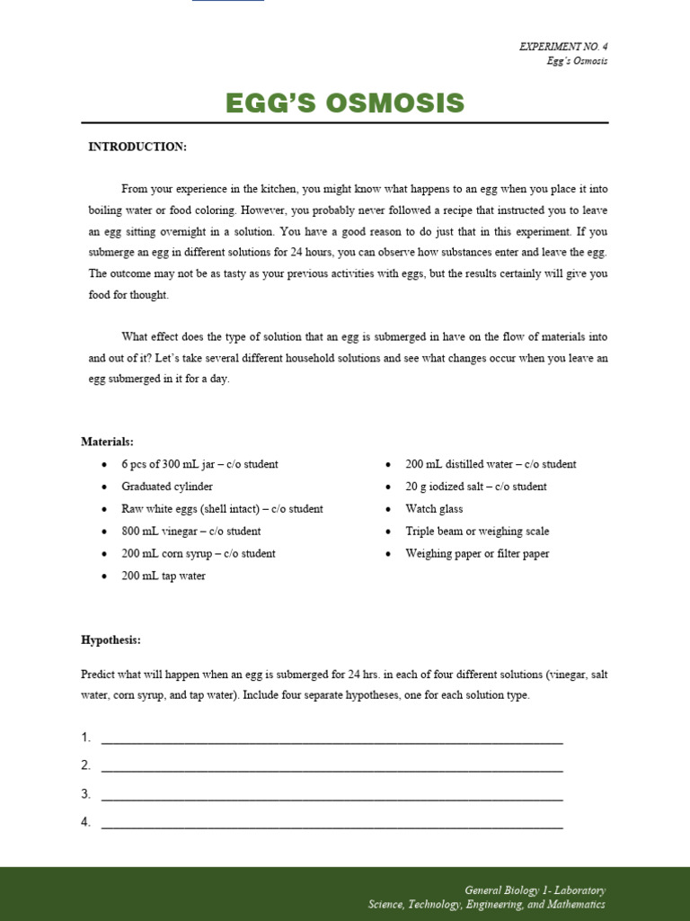 Egg Osmosis Experiment Overview | PDF | Egg As Food | Hypothesis