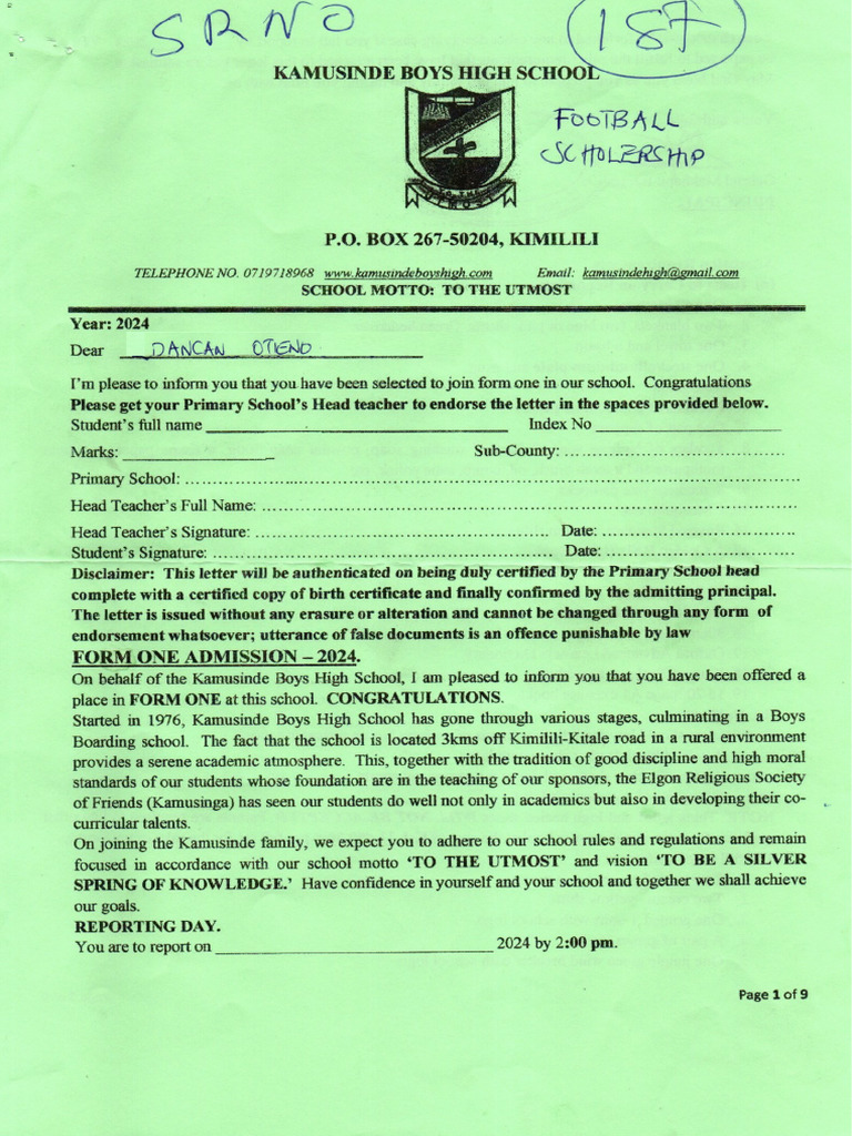 Ray Pdf