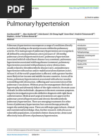 Normal Values of TTE - Echopedia | PDF | Ventricle (Heart) | Heart Valve